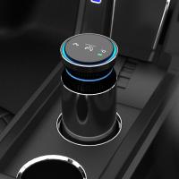 China Portable USB Ozone Air Purifier Generator Mini Anion Air Cleaner For Car for sale