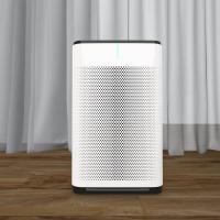 China Hepa Filter Portable Air Purifier For Home Electrical Appliances for sale