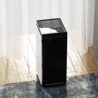 China Wall Hanging Hepa UV Air Purifier Fog Free Whole House Humidification for sale