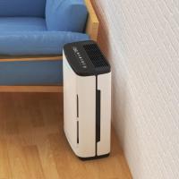 China Custom Standard Home Air Purifiers Smart Control With Tuya Wifi for sale