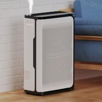 China Spray Humidifier Hepa Filter UV Lamp Air Purifier Home Appliances Tuya WiFi for sale