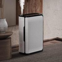 China Spray Humidification Hepa UV Air Purifier With CO2 Sensor FCC for sale