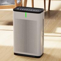 China Timer Remote Control Home Air Purifiers For Allergies Asthma for sale
