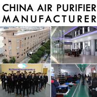 China Indoor Home H13 True Hepa Air Purifier 220V 50Hz With Child Lock Interlock for sale