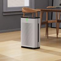 China 240V Anion Generator UV Tubes Hepa Filter Air Purifier Smoke Removal Dust for sale