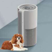 China Covid Hepa Filter Room Air Purifier For Pet Dander Fresh Healthier Environment for sale