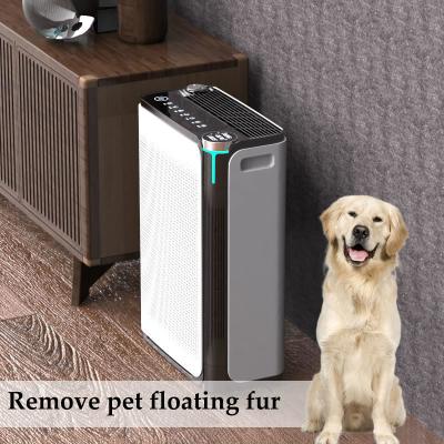 China Ammonia Gas Elimination Home Air Purifiers Floating Particle Adsorption for sale