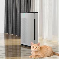 China LED Touch Screen Pet Air Purifier For Allergies  ABS Plastic Material Pet Air Cleaner for sale