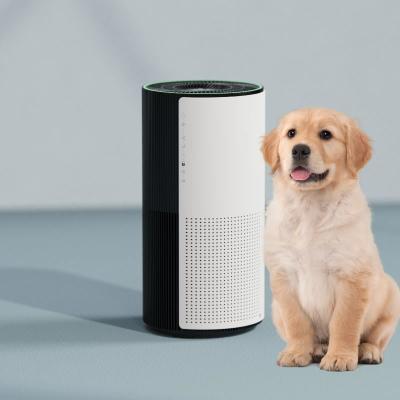 China Efficient Whole House Pet Air Purifier Remove Dander And Odor for sale