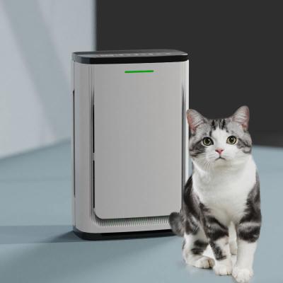 China Pet Dander Air Purifier Hepa Filter Smart Pet Air Cleaner For Allergies for sale