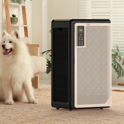 China ETL Activated Carbon Filter Air Purifier For Dog Hair Pet Allergies Smart Air Cleaner for sale