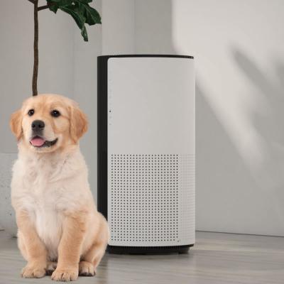 China Sleep Mode Pet Air Purifier Capture Pet Dander And Other Allergens 8 hours Timer for sale