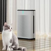 China Smart Whole House Pet Air Purifier With Plasma Home Air Filters for sale