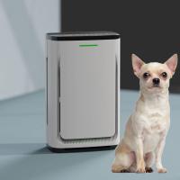 China High CADR Auto Lock Pet Air Purifier For Efficient Purification for sale
