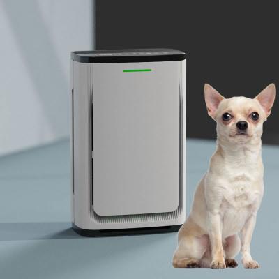 China High CADR Auto Lock Pet Air Purifier For Efficient Purification for sale
