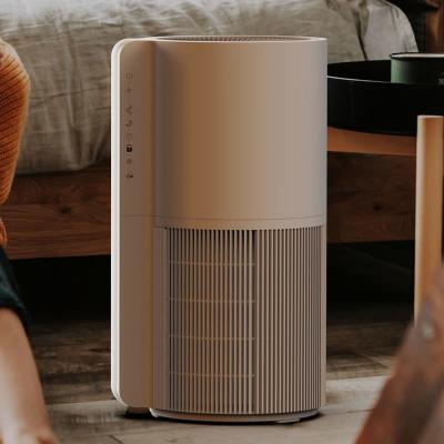 China OEM Small Room Pet Air Purifier For Mold And Hair Removal for sale