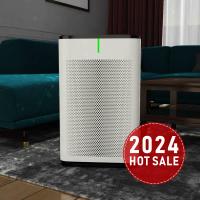 China Effortlessly Remove Hair And Odors Pet Air Purifier Hepa Filter WiFi Remote for sale