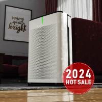 China Effortlessly Remove Hair And Odors Pet Air Purifier Hepa Filter WiFi Remote for sale