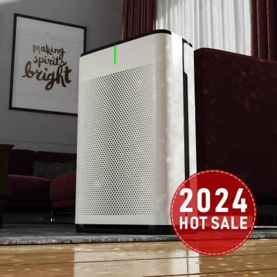 China Effortlessly Remove Hair And Odors Pet Air Purifier Hepa Filter WiFi Remote for sale