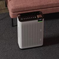 China Reactive Oxygen Hepa Filter Smart Pet Air Purifier Biologocal Enzyme Remove Odors for sale