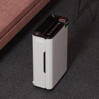 China Adsorption Floating Hair Smart Pet Air Purifier Portable Removal Odor for sale