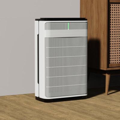 China 2024 New Collection Hepa Filter Smart WIFI Pet Air Purifier Pet Family for sale