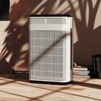China Latest Releases Pet Air Purifier Adsorption Floating Hair Hepa Filter Removal Odor for sale