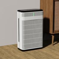 China Latest Releases Pet Air Purifier Adsorption Floating Hair Hepa Filter Removal Odor for sale