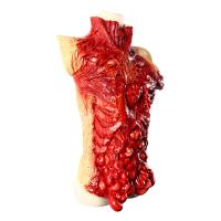 China Bloody Torso Halloween Props for sale