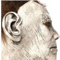 China Unisex Michael Myers Scary Mask for sale