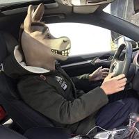 China Donkey Animal Latex Masks for sale