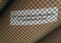 China PVC Coated Welded Wire Mesh/Welded Wire Mesh/Green Welded Mesh for sale