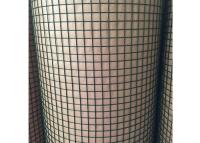 China PVC Coated Welded Wire Mesh/Welded Wire Mesh/Green Welded Mesh for sale