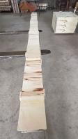 China Ss Paper Making Mesh/Super Width Stainless Steel Wire Mesh/SS Mesh 6m Width for sale