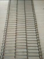 China Conveyor Belt/Wire Mesh Belt/Stainless Steel Conveyor Belt Mesh for sale