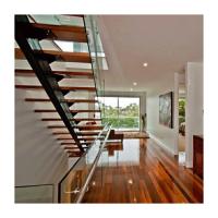 China Balcony Terrace Standoff Glass Railing Stainless Steel Satin Wall Mounted Balustrade for sale