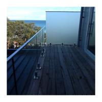 China Clear View Glass Railings Terrace railing designs balcony railing/decorative glass pool fencing for sale