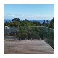 China St martin 2205 stainless steel spigots railing backyard spigot glass balustrade for sale