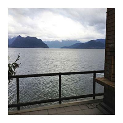 China Double laye glass balustrade decking balustrade guardrail for sale