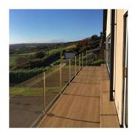 China ANSI Z97 glass balusters black metal porch railing ss glass railing for sale