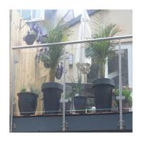 China AS NZS2208 glass fence wood deck with vinyl railing deck railing systems cost for sale