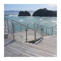 China Double laye glass fencing white house black porch railing smoked glass deck railing for sale