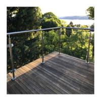 China Stainless steel and smoked glass balustrade railing fencing nz for sale