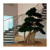 China Latest fashion double layer glass circular staircase design half circle stairs design for sale