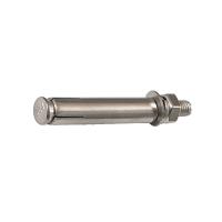 China Stainless Steel 304 316L M8 Wall Concrete Brick Anchor Expansion Bolts for sale