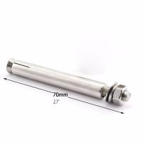 China Stainless Steel 304 316L M8 Wall Concrete Brick Anchor Expansion Bolts for sale
