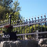China Beautiful Wrought Iron Artistic Fencing, Ornamental Curved Fence Panels Wrought Iron for sale