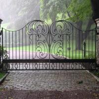 China Galvanized Wrought Iron Gate Exterior Ornamental Iron Fence Swing Main Door for sale