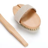 China OEM Detachable Long Handle Body Scrub Brush Dry Skin Cellulite Treatment for sale