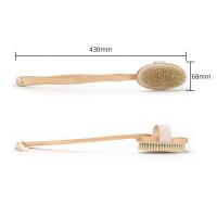 China OEM Detachable Long Handle Body Scrub Brush Dry Skin Cellulite Treatment for sale